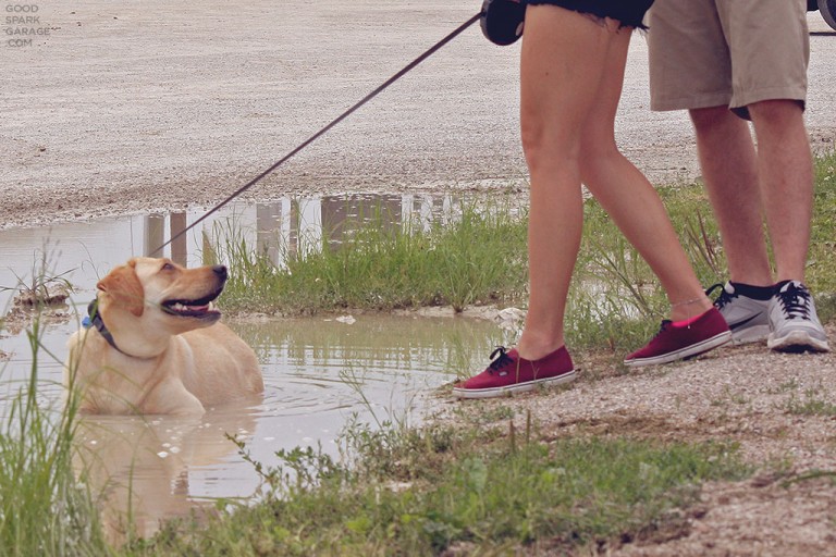 The Flat Track Scene: Indy Mile 2015 - Good Spark Garage